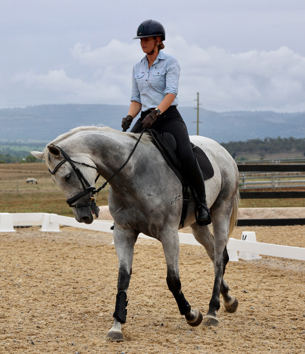 Thoroughbreds are Go Returns on Monday May 4 | Breednet