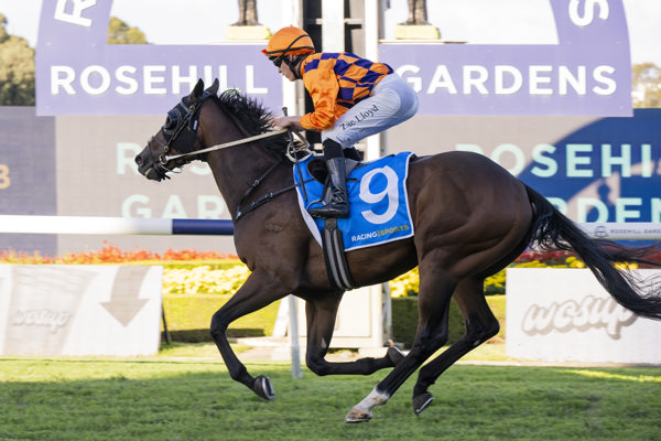 G3 Double For Shalaa as Welwal and Roselyn’s Star Score At Rosehill ...