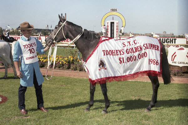 The Slipper Winner That Became Australian Horse of the Year | Breednet