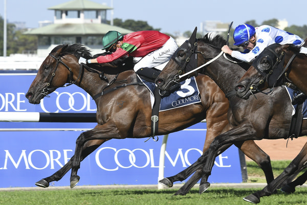 The Broodmare Making Race! – Where Are They Now? | Breednet
