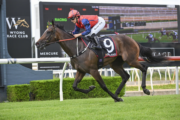 G1 Sires Produce Possible for Zoustar Filly | Breednet