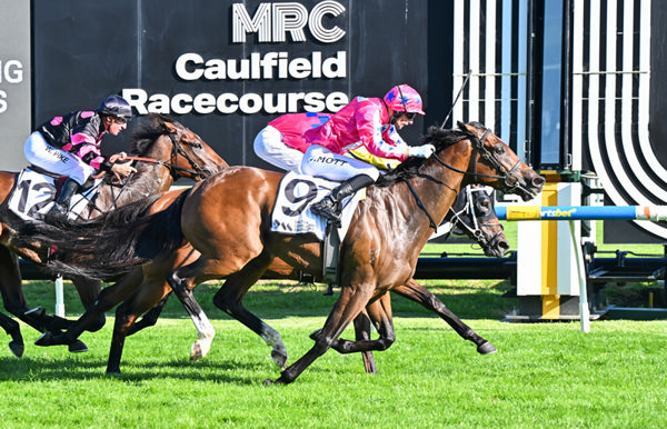 Roulette King Wins G2 Alister Clark | Breednet