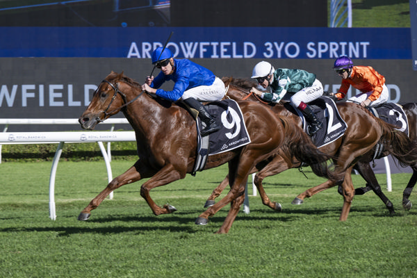 Glamour Filly Tempted Wins $1million G2 Arrowfield Sprint | Breednet