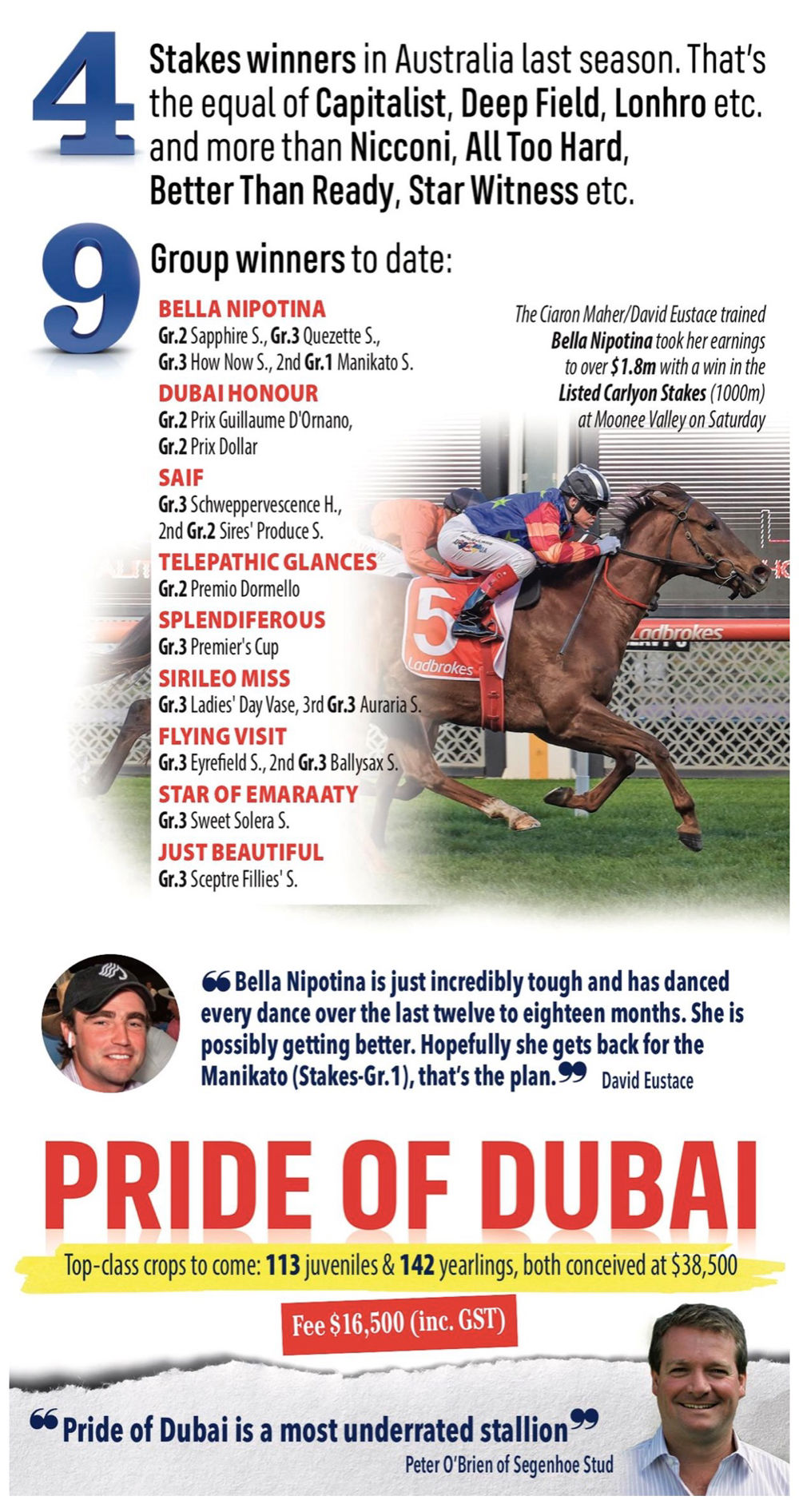 Pride Of Dubai - Stallion | Breednet