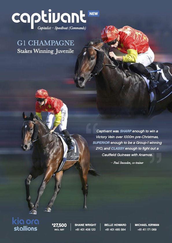 Captivant - Stallion | Breednet