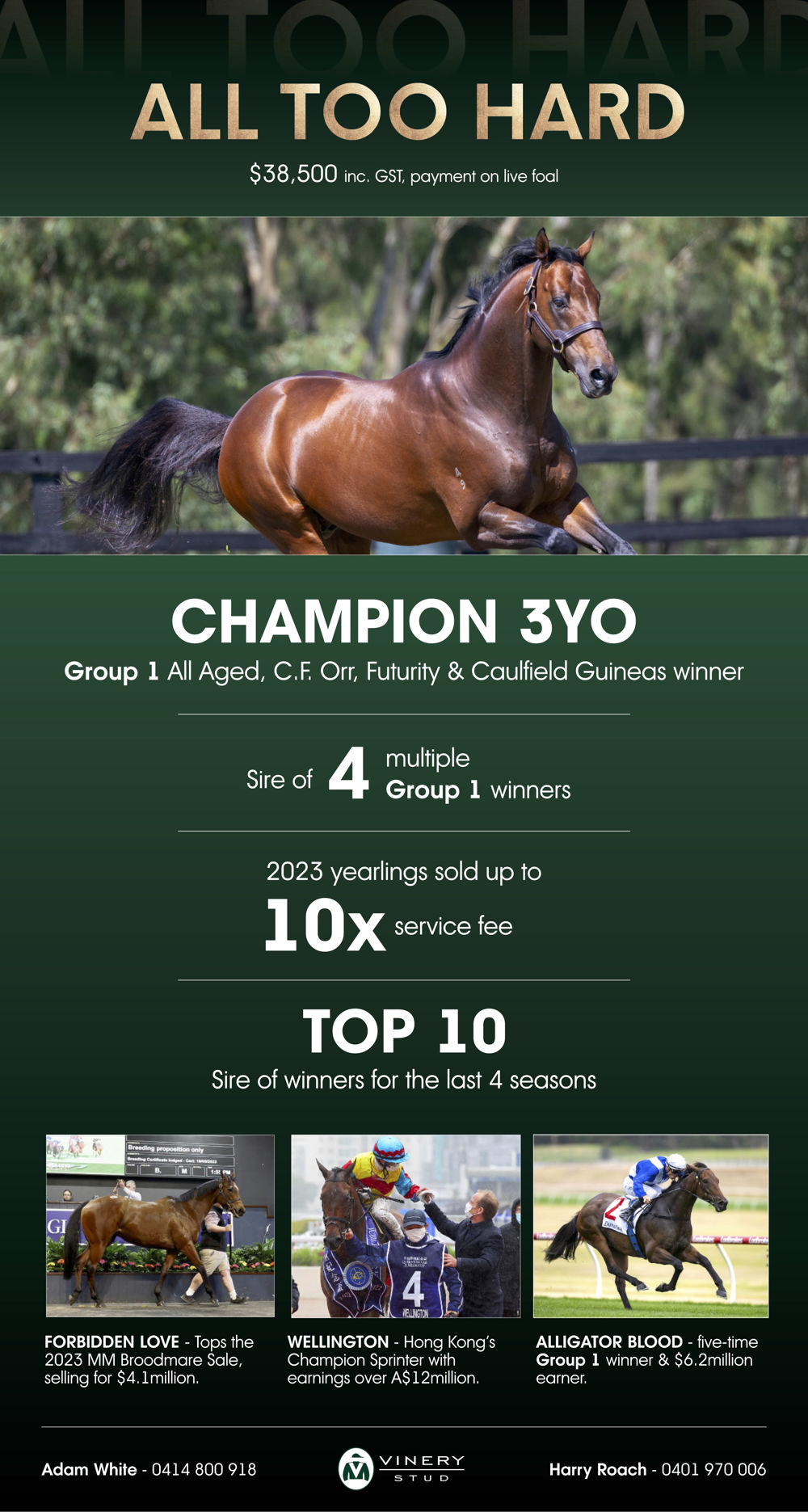 All Too Hard - Stallion | Breednet