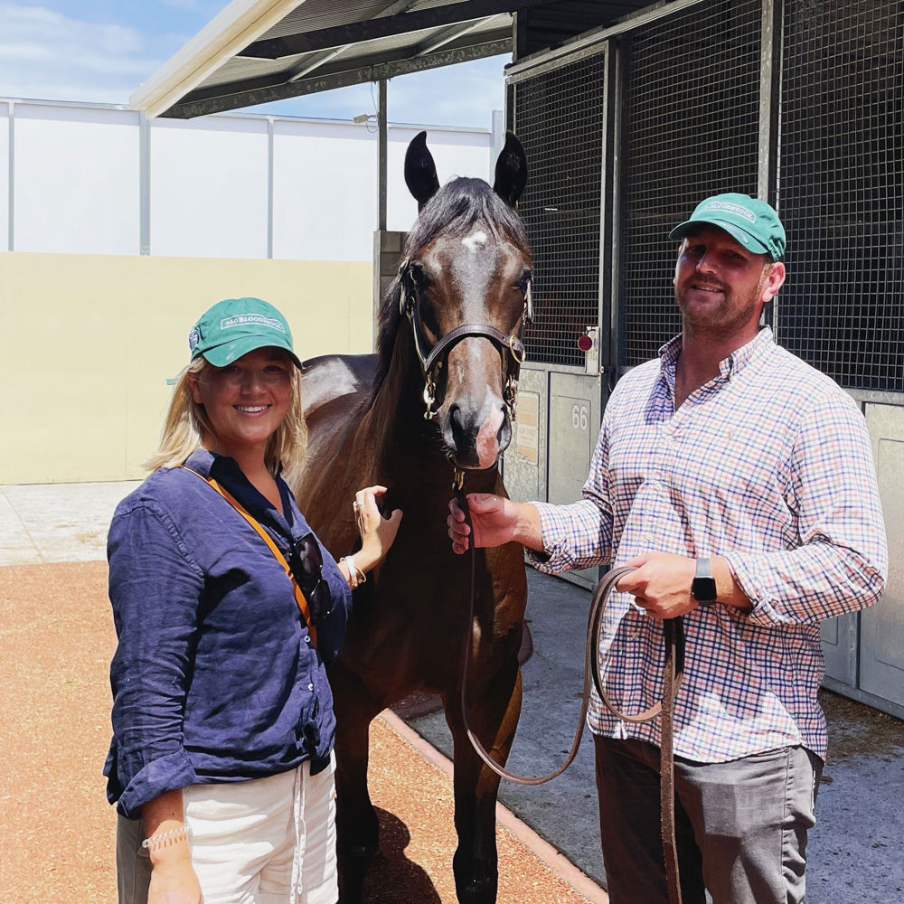 Power - Stallion | Breednet