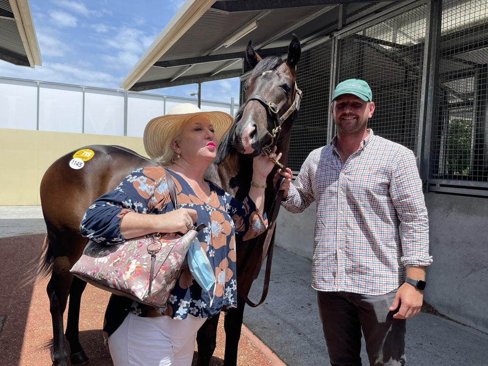 Power - Stallion | Breednet